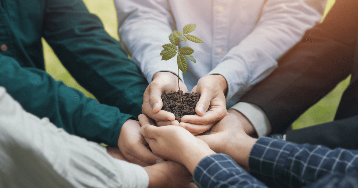 Reward employee movement with tree planting | Total Active Hub