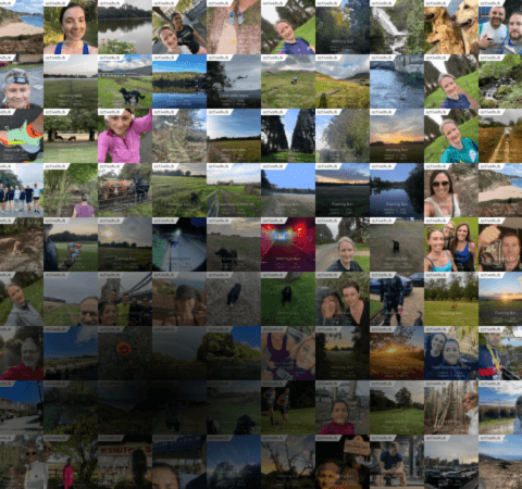 User Success Stories | Total Active Hub