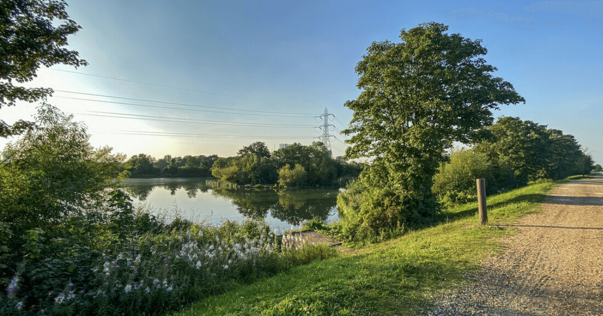 Top 10 nature walks in London | Total Active Hub